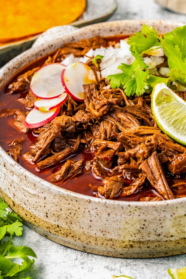 Crockpot Birria Recipe | The Novice Chef