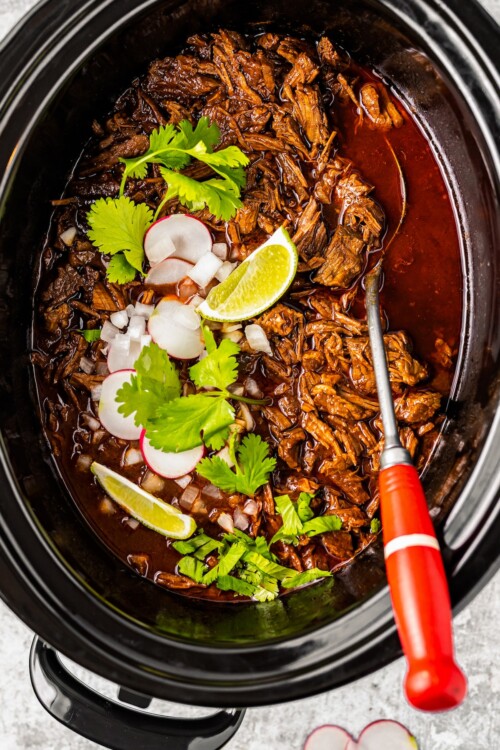 Crockpot Birria Recipe | The Novice Chef