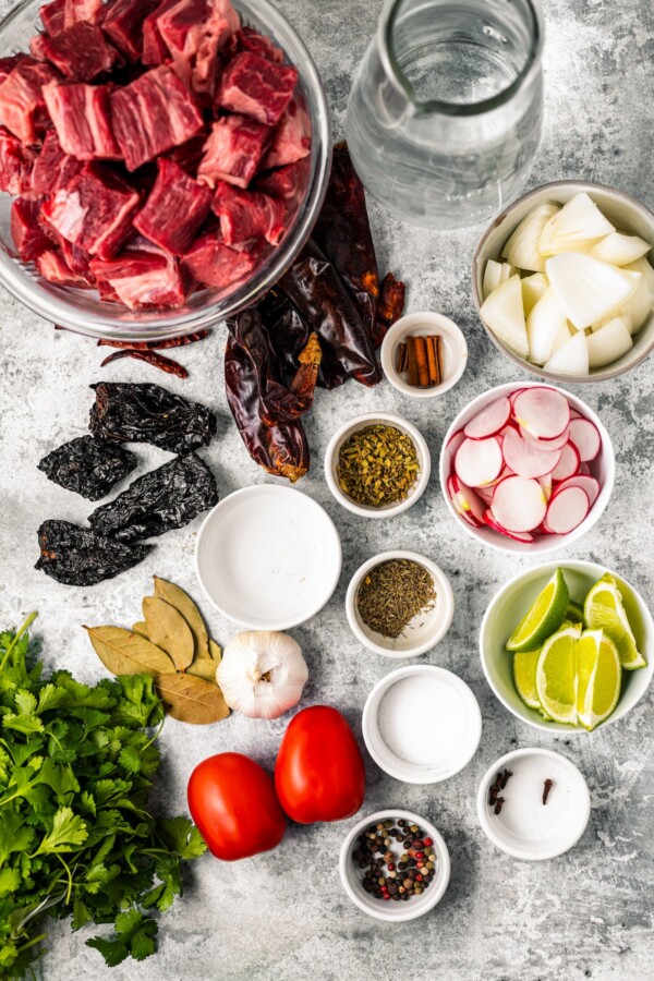 Crockpot Birria Recipe | The Novice Chef