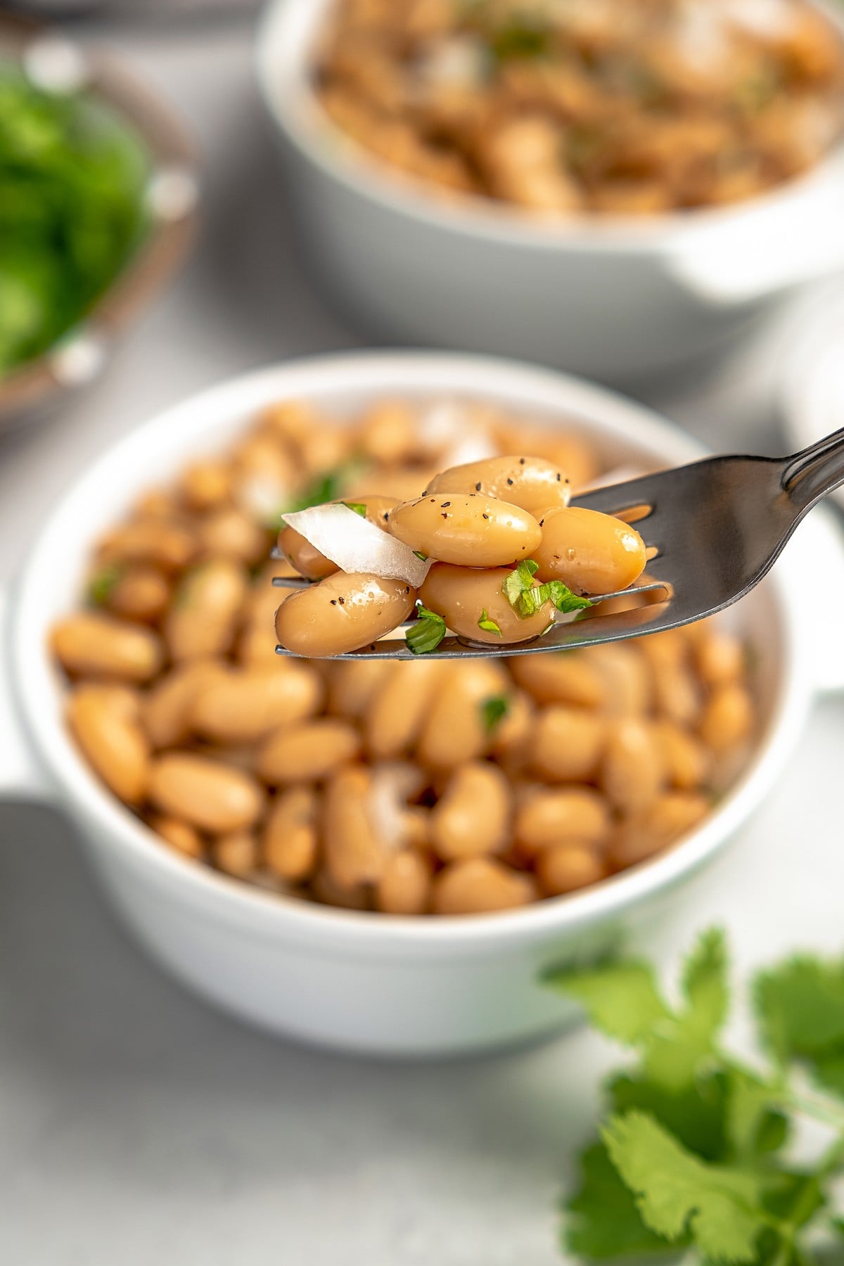 Frijoles de la Olla (Mexican Beans) Recipe | The Novice Chef