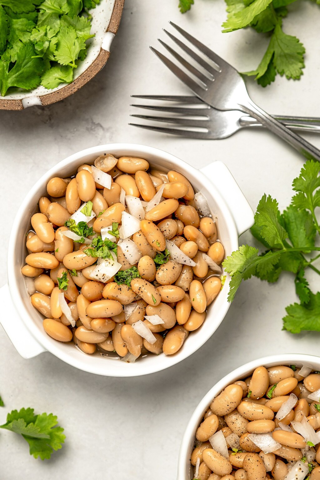 Frijoles de la Olla (Mexican Beans) Recipe | The Novice Chef