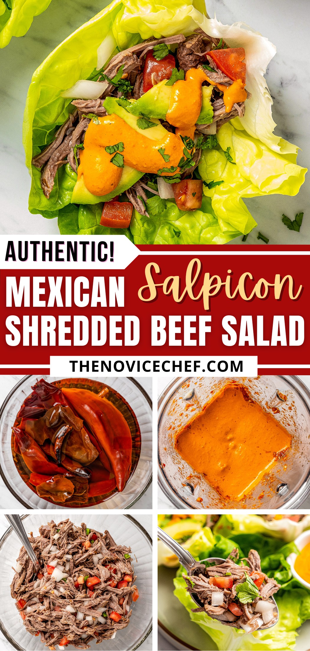 Salpicon de Res Recipe | The Novice Chef