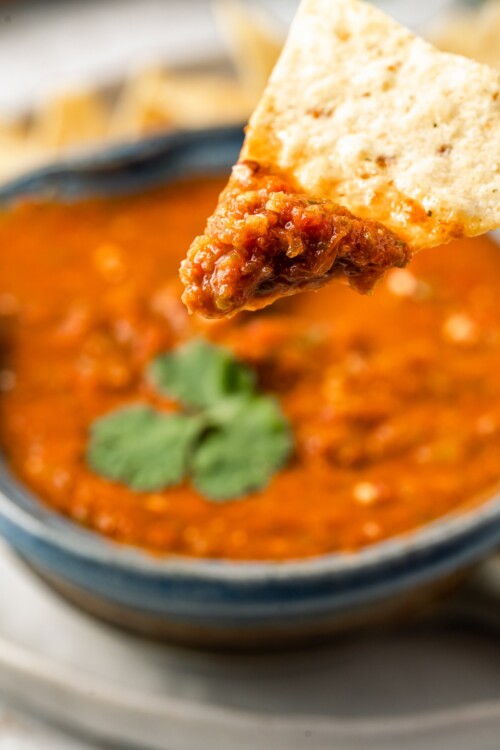 Salsa Ranchera Recipe | The Novice Chef