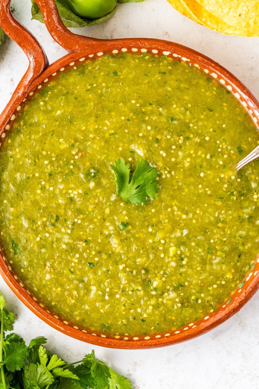 Salsa Verde Recipe The Novice Chef