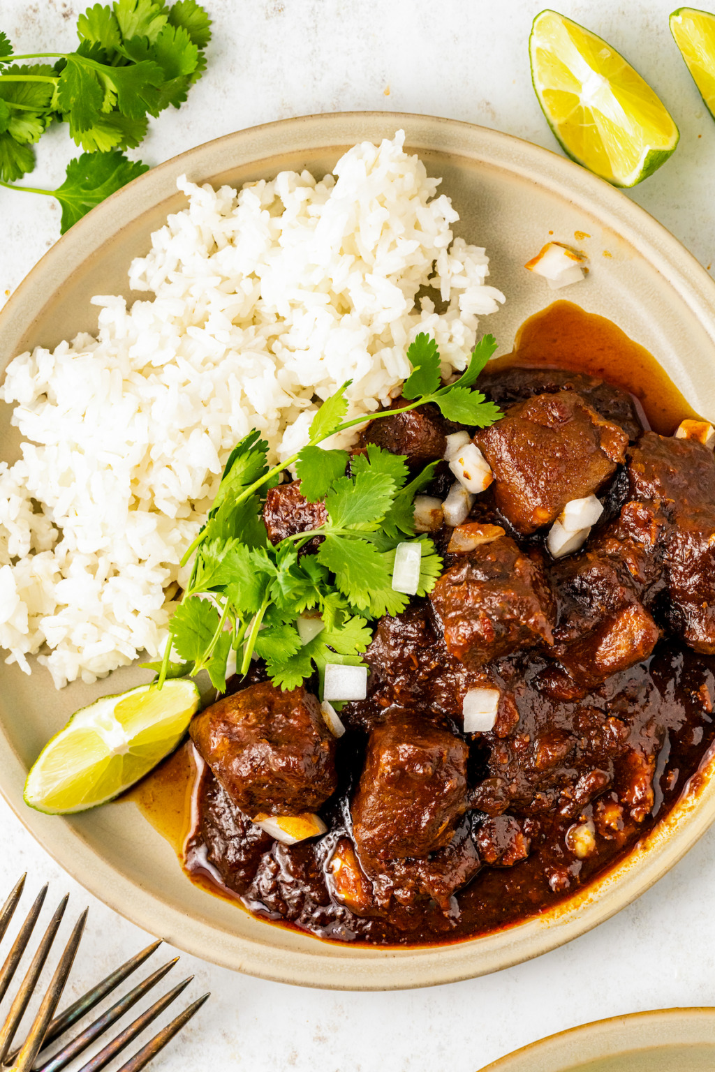 Carne Adovada Recipe | The Novice Chef