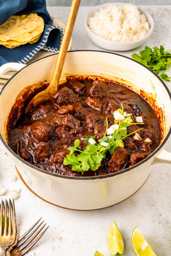 Carne Adovada Recipe | The Novice Chef