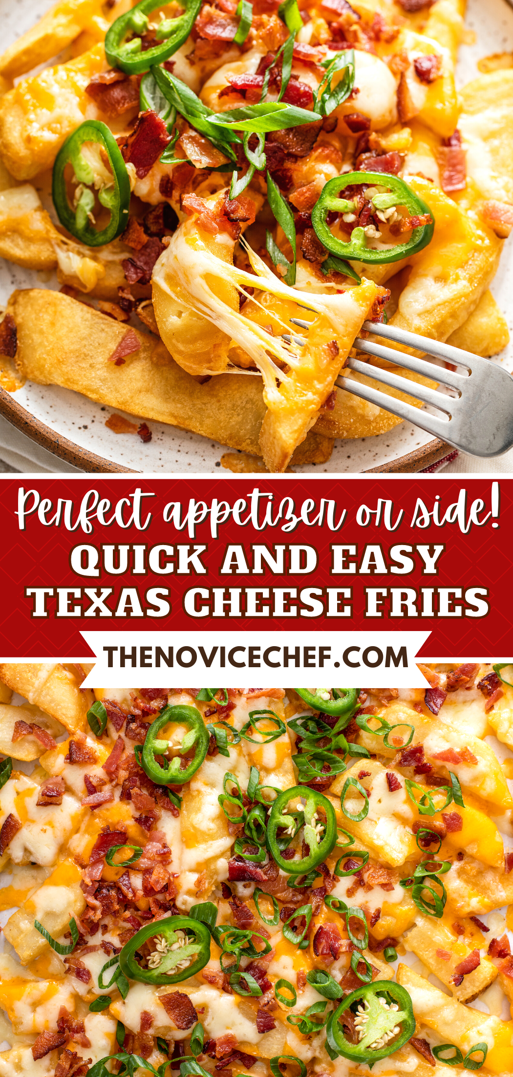 Texas Cheese Fries | The Novice Chef