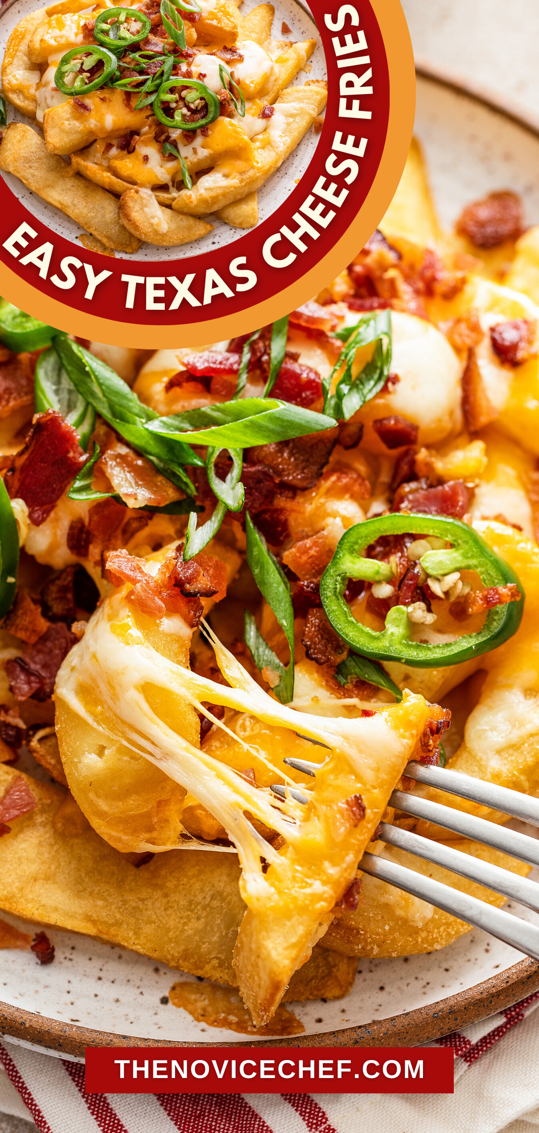 Texas Cheese Fries | The Novice Chef
