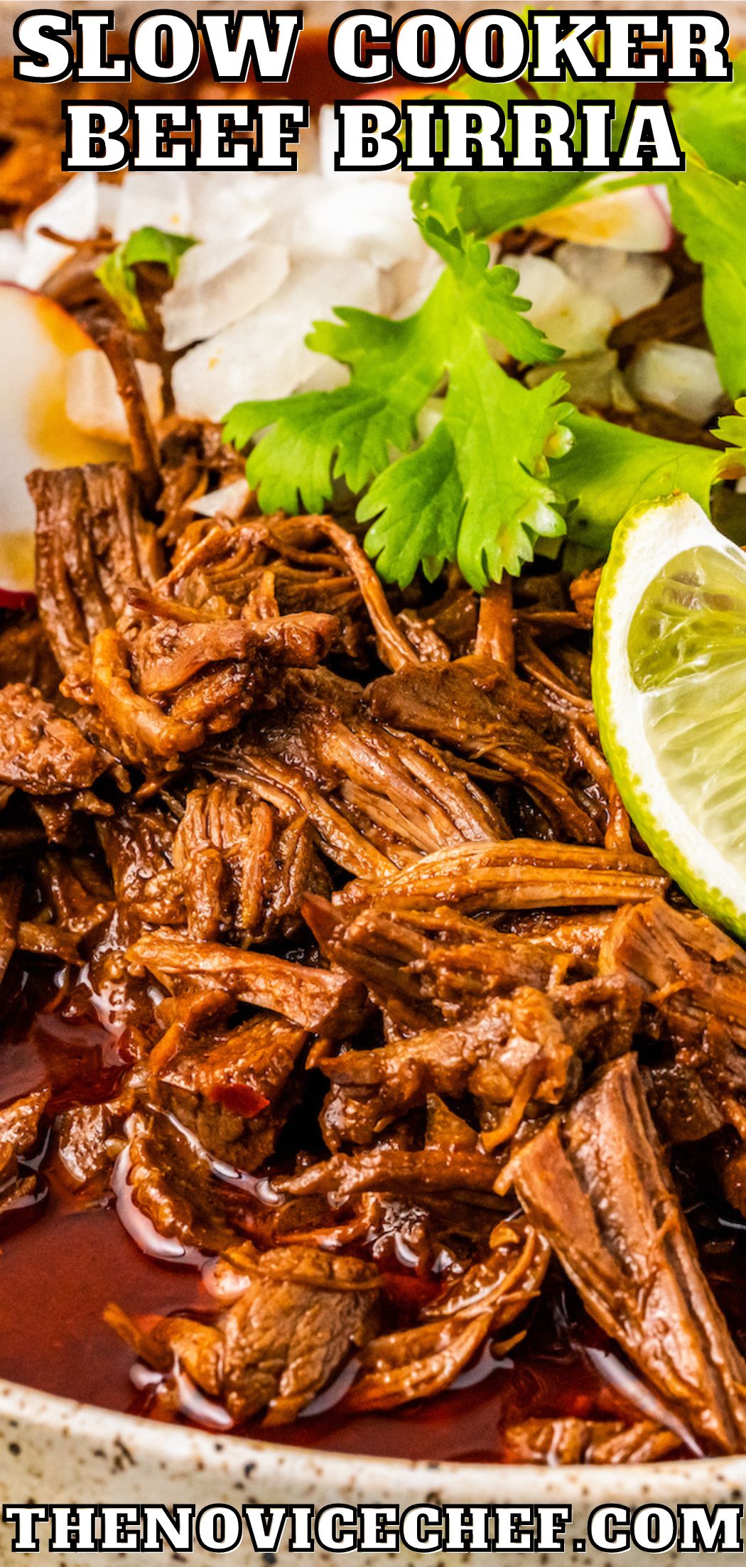 Crockpot Birria Recipe The Novice Chef