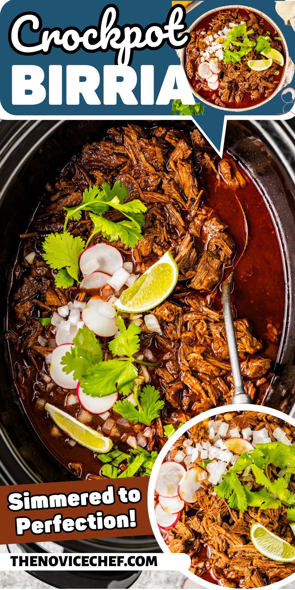 Crockpot Birria Recipe | The Novice Chef