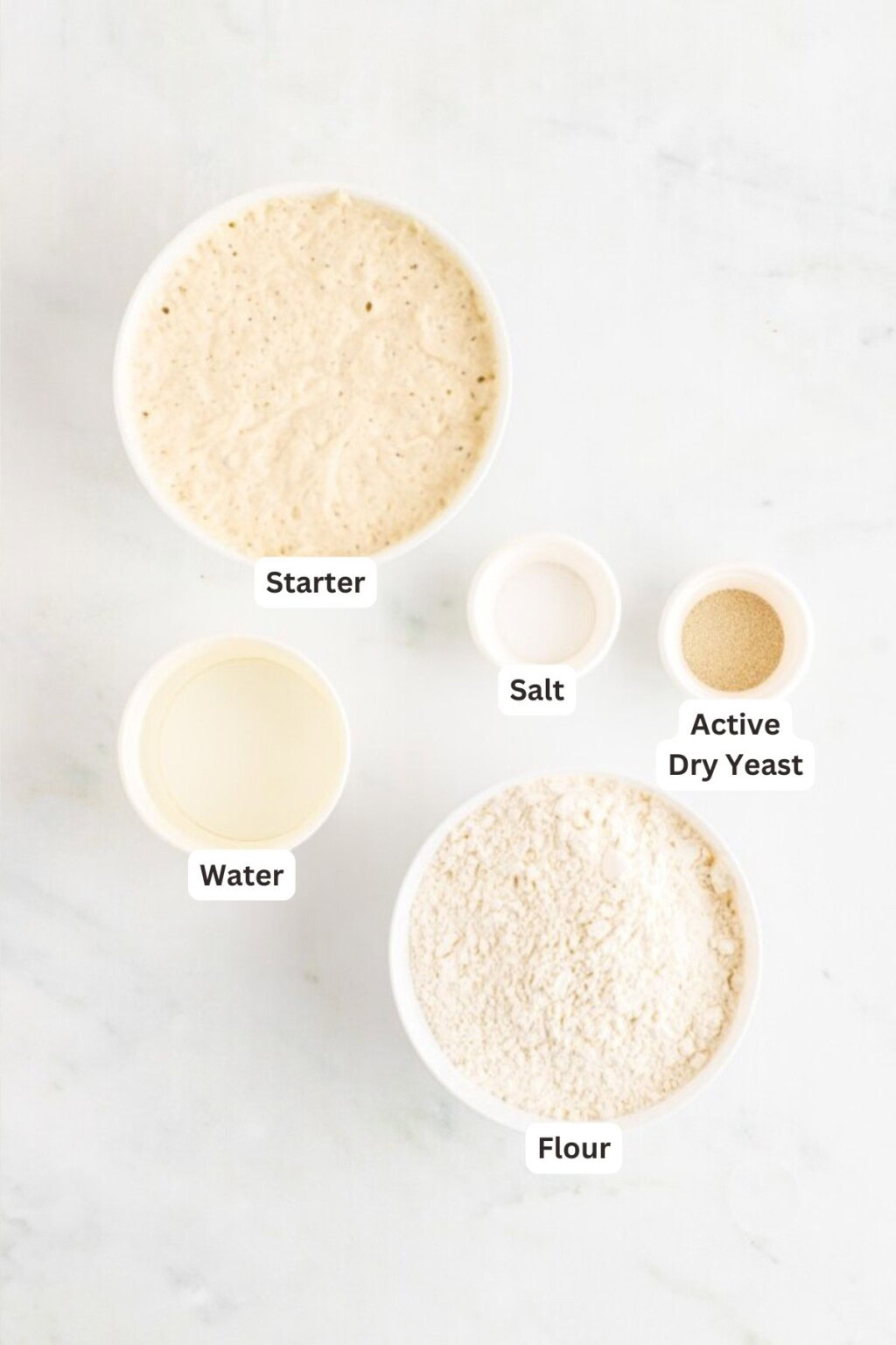Easy Ciabatta Rolls | The Novice Chef