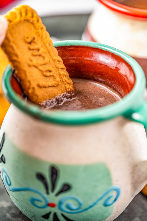 Mexican Hot Chocolate Recipe | The Novice Chef