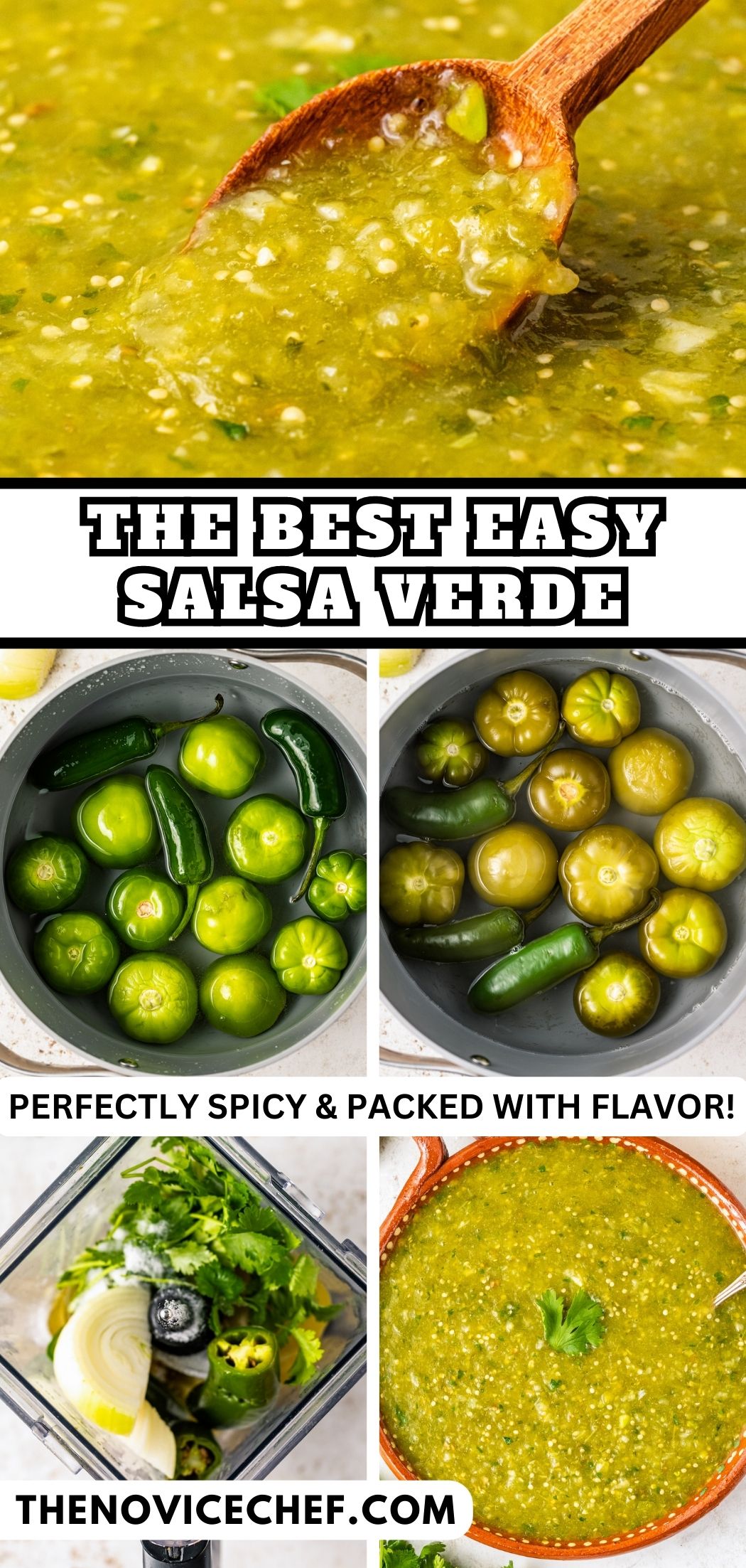 Salsa Verde Recipe The Novice Chef