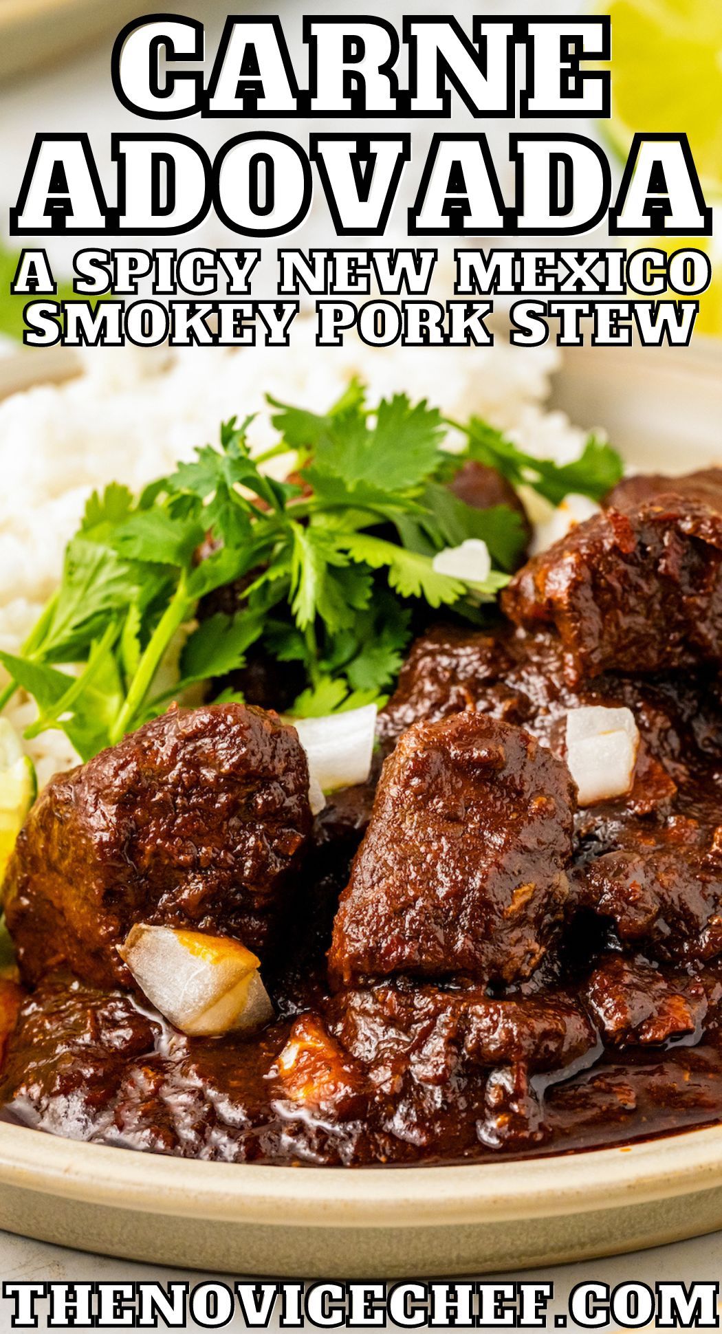 Carne Adovada Recipe | The Novice Chef