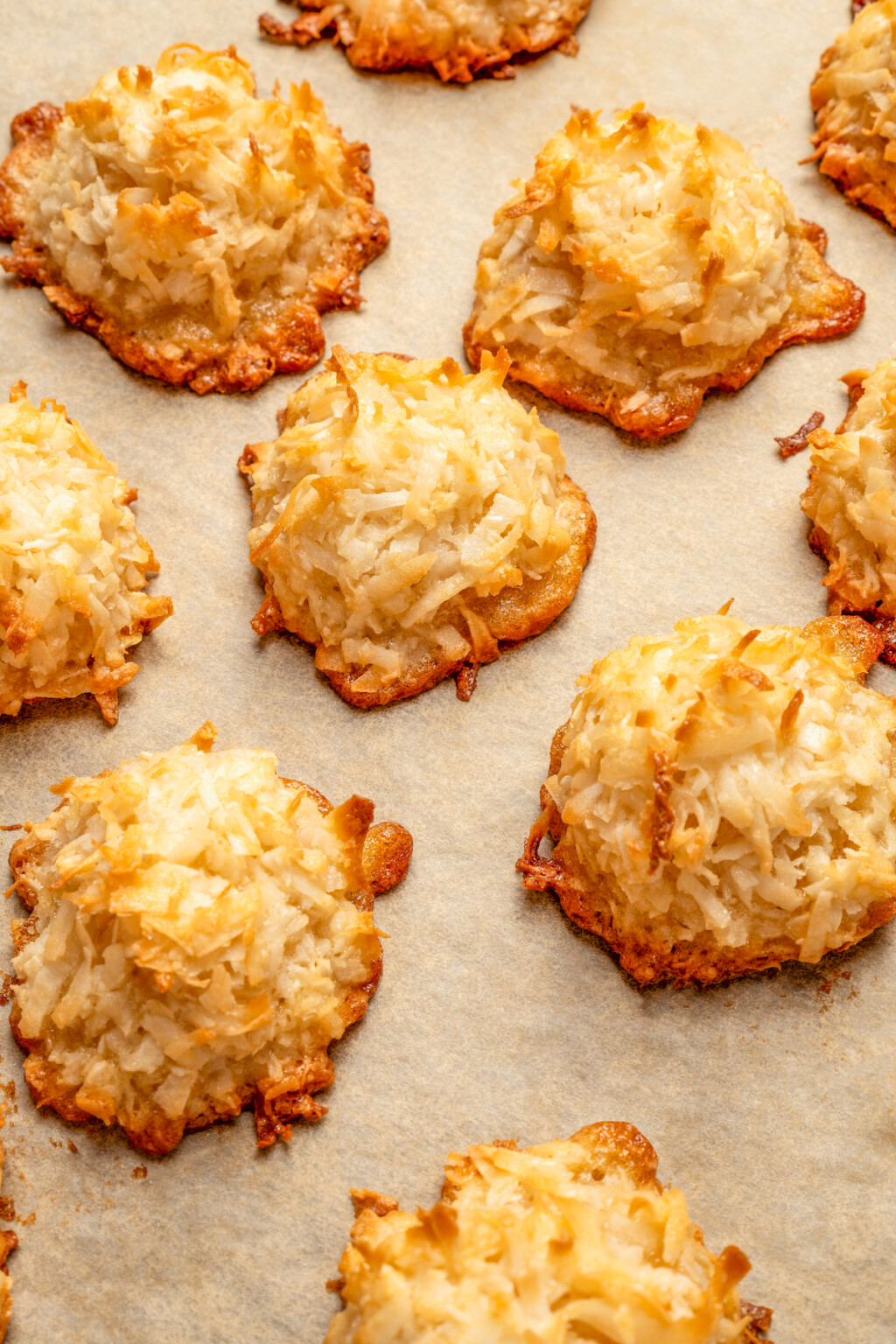 Cocadas (Mexican Coconut Candy) | The Novice Chef