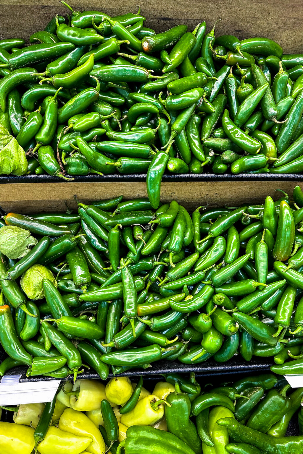 Serrano Peppers: What You Should Know! | The Novice Chef