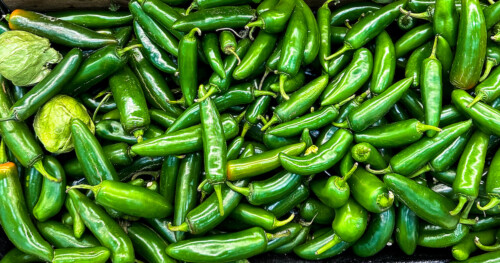 Serrano Peppers: What You Should Know! | The Novice Chef