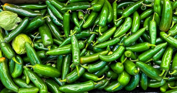 Serrano Peppers: What You Should Know! | The Novice Chef