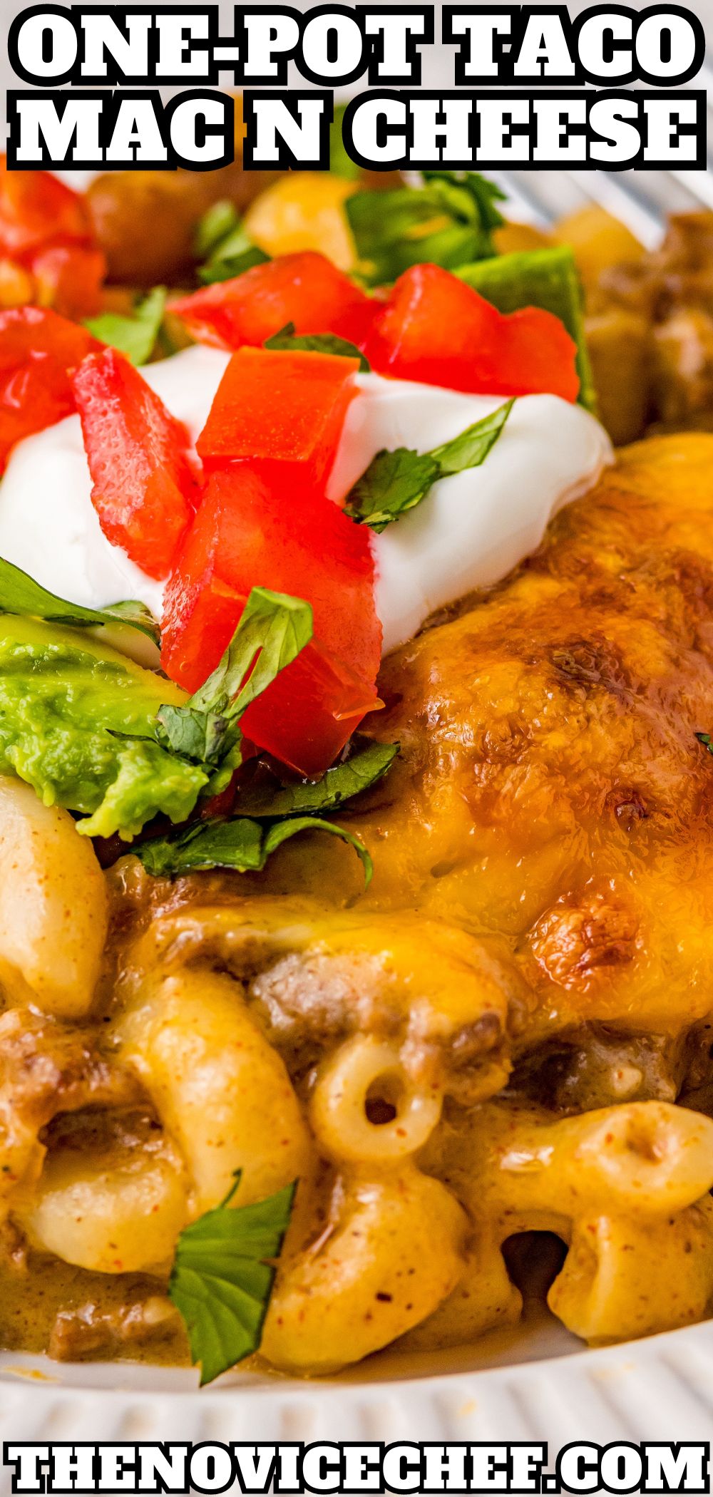 Taco Mac and Cheese | The Novice Chef