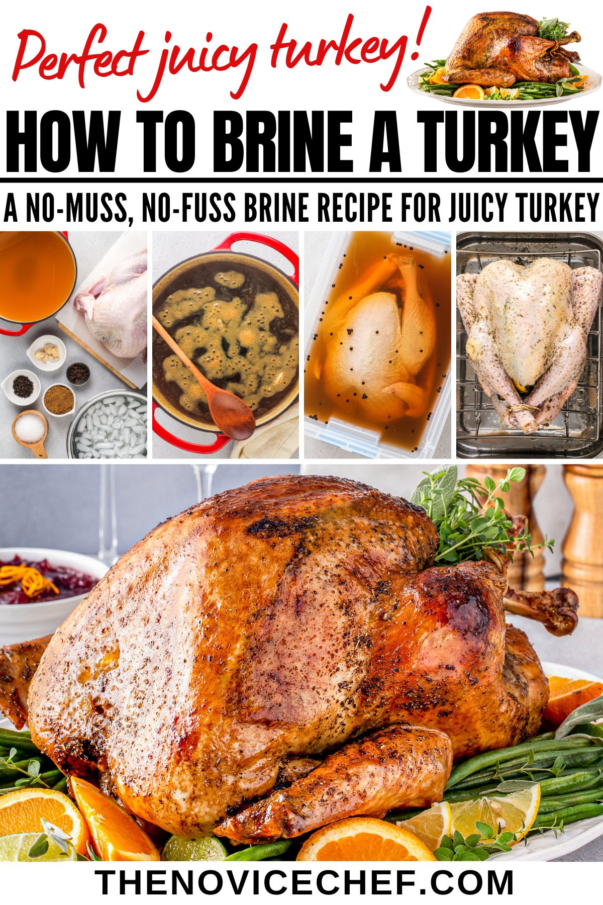 The Best Turkey Brine Recipe | The Novice Chef