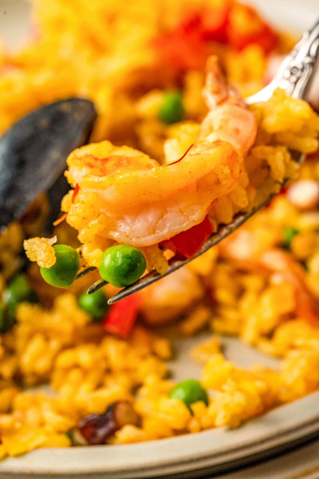 Seafood Paella Recipe The Novice Chef