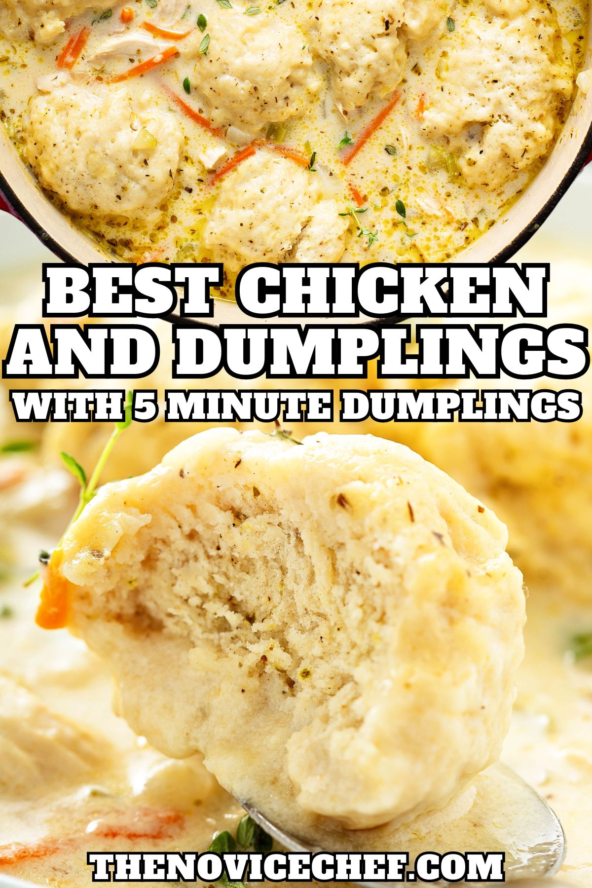 Homemade Chicken and Dumplings Recipe | The Novice Chef