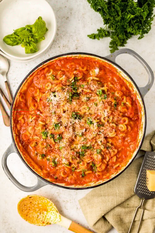 Best Homemade SpaghettiOs With Meatballs | The Novice Chef