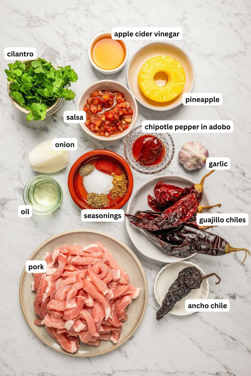 Authentic Tacos al Pastor Recipe | The Novice Chef