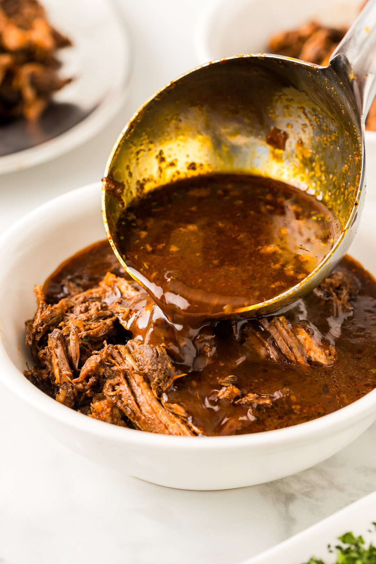 Best Mexican Beef Birria Recipe (Birria de Res) | The Novice Chef