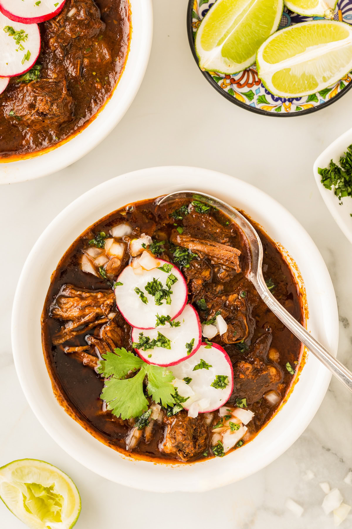 Best Mexican Beef Birria Recipe (Birria de Res) | The Novice Chef