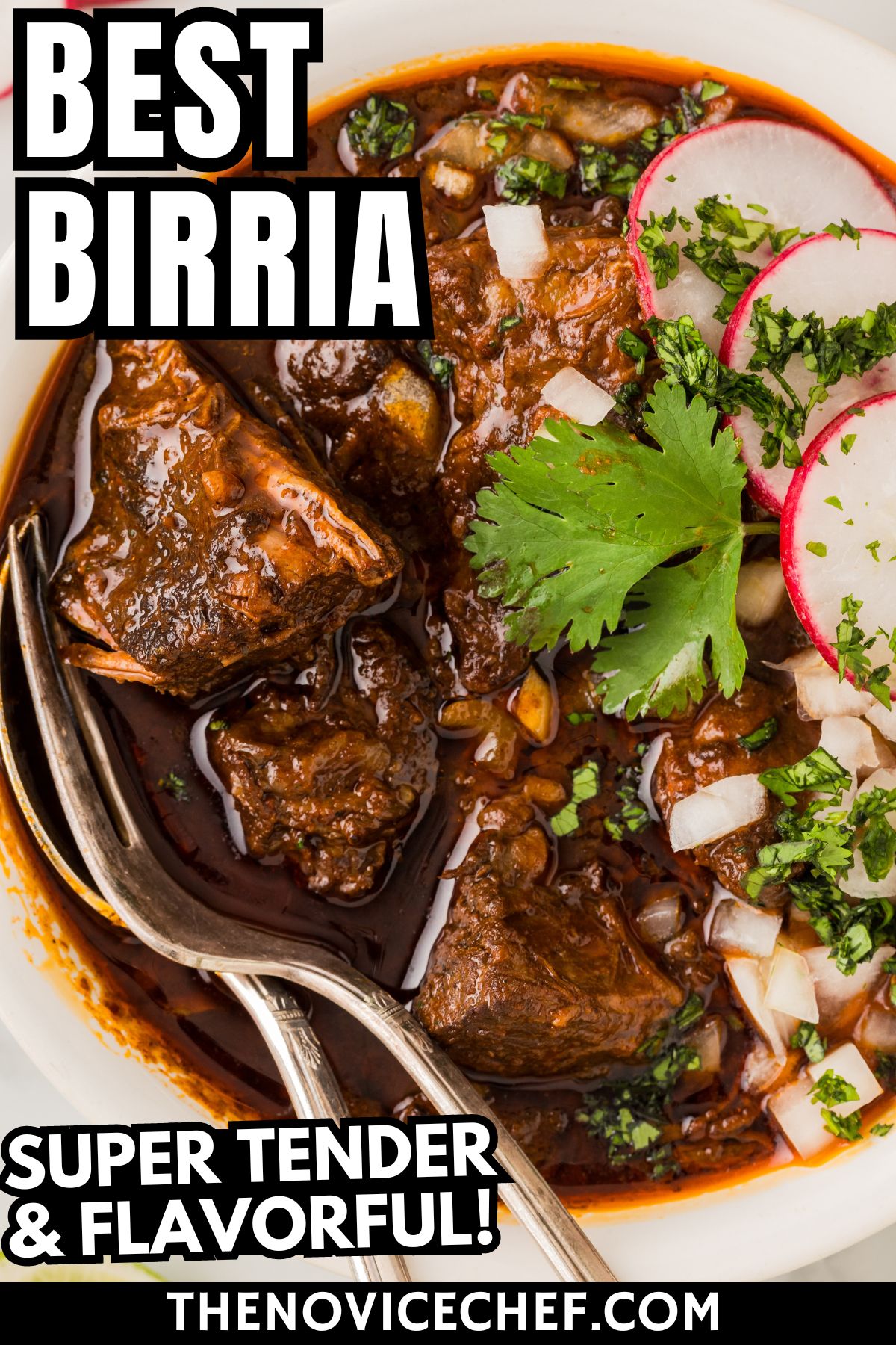 Best Mexican Beef Birria Recipe (Birria de Res) | The Novice Chef