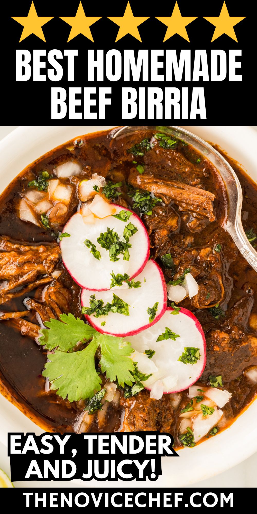 Best Mexican Beef Birria Recipe (Birria de Res) | The Novice Chef