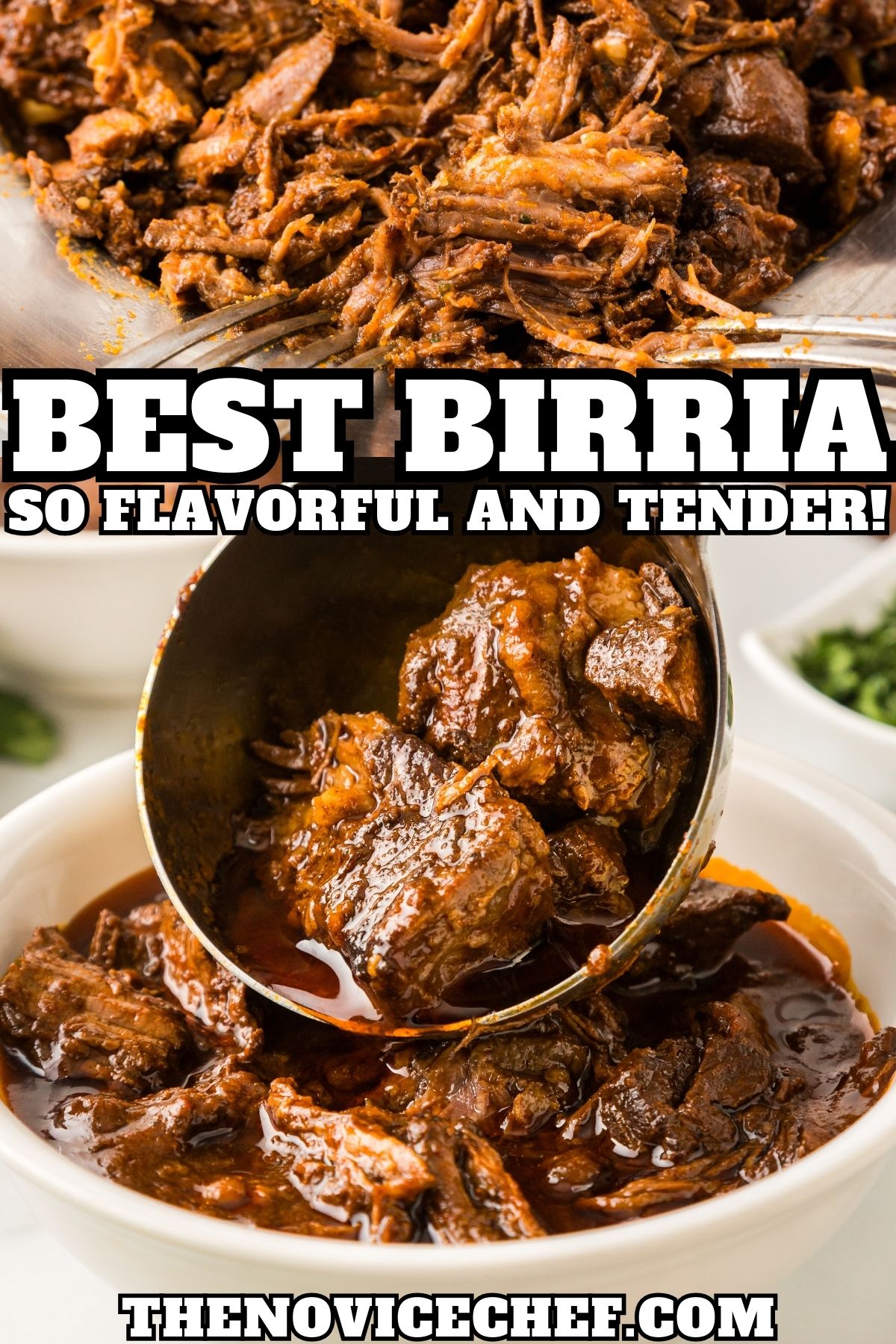 Best Mexican Beef Birria Recipe (Birria de Res) | The Novice Chef