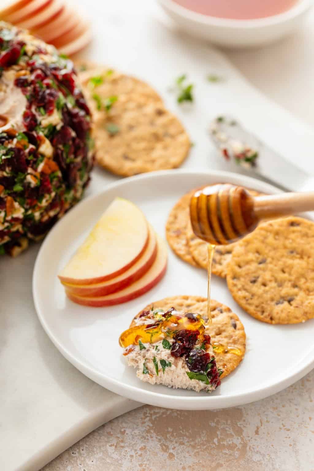 Easy Cranberry Cheese Ball Recipe | The Novice Chef