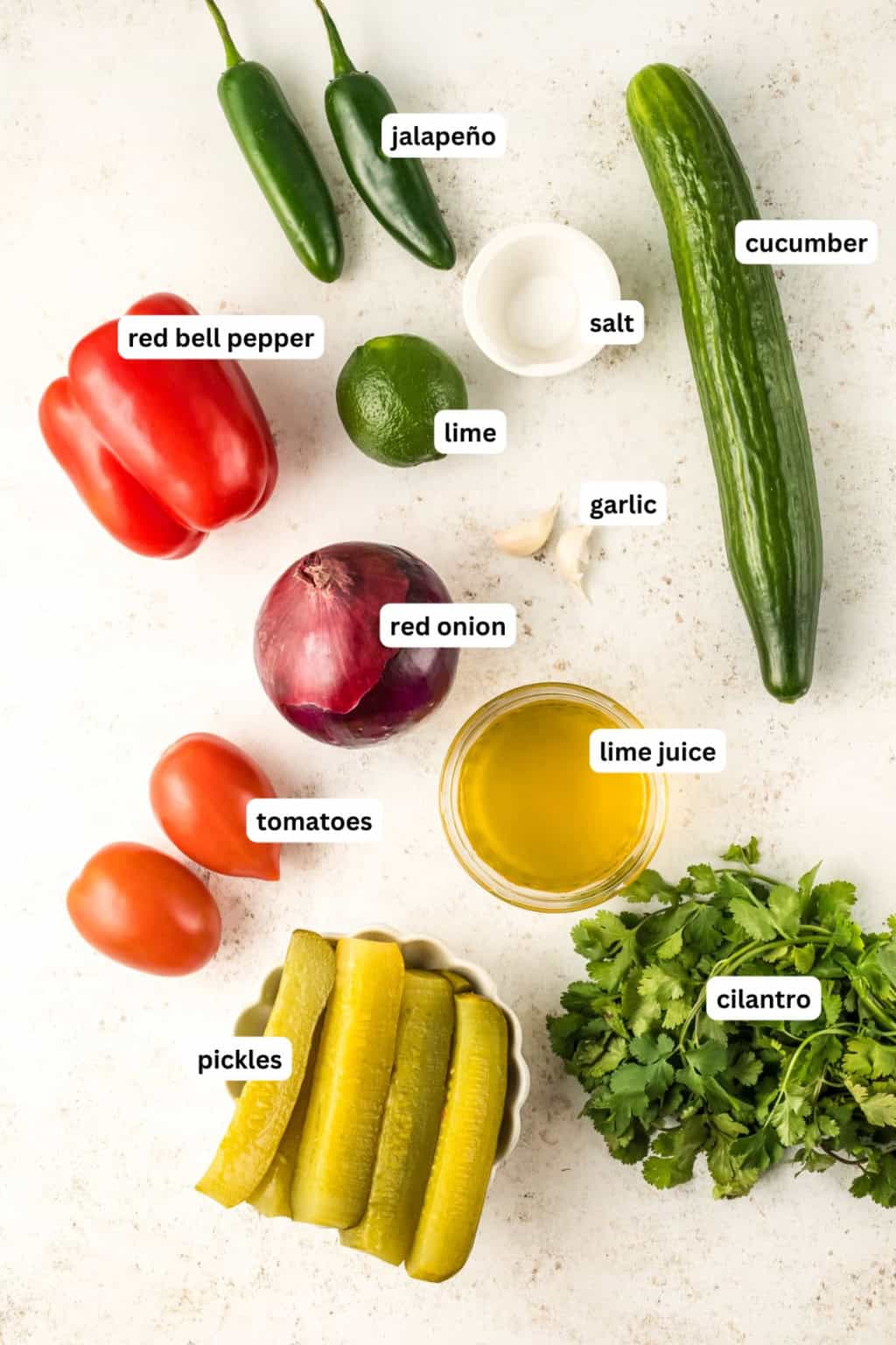 Pickle de Gallo Recipe (Dill Pickle Salsa)