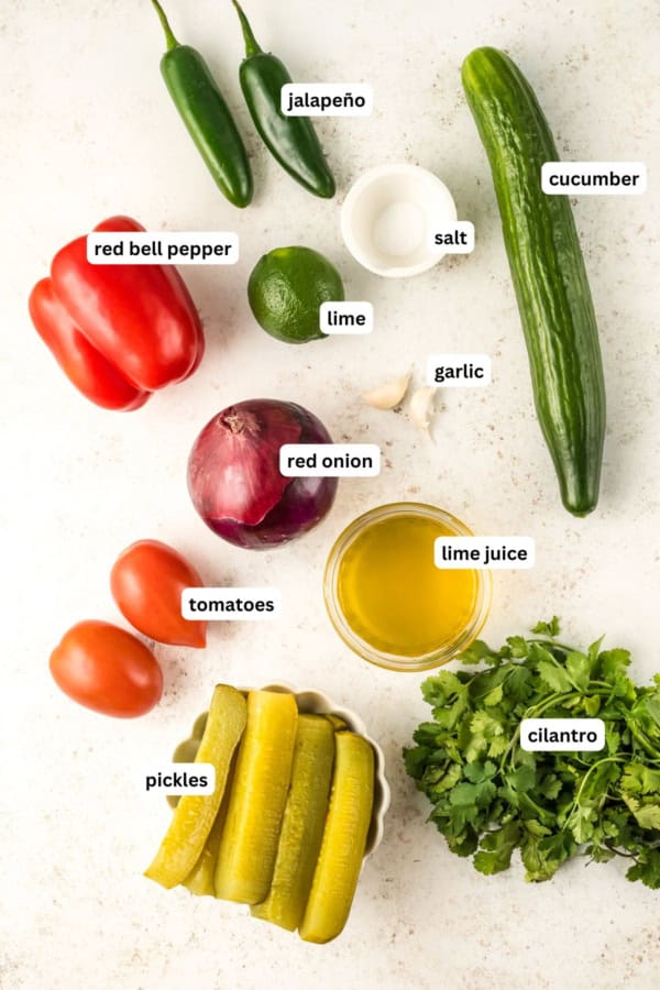 Pickle de Gallo Recipe (Dill Pickle Salsa)
