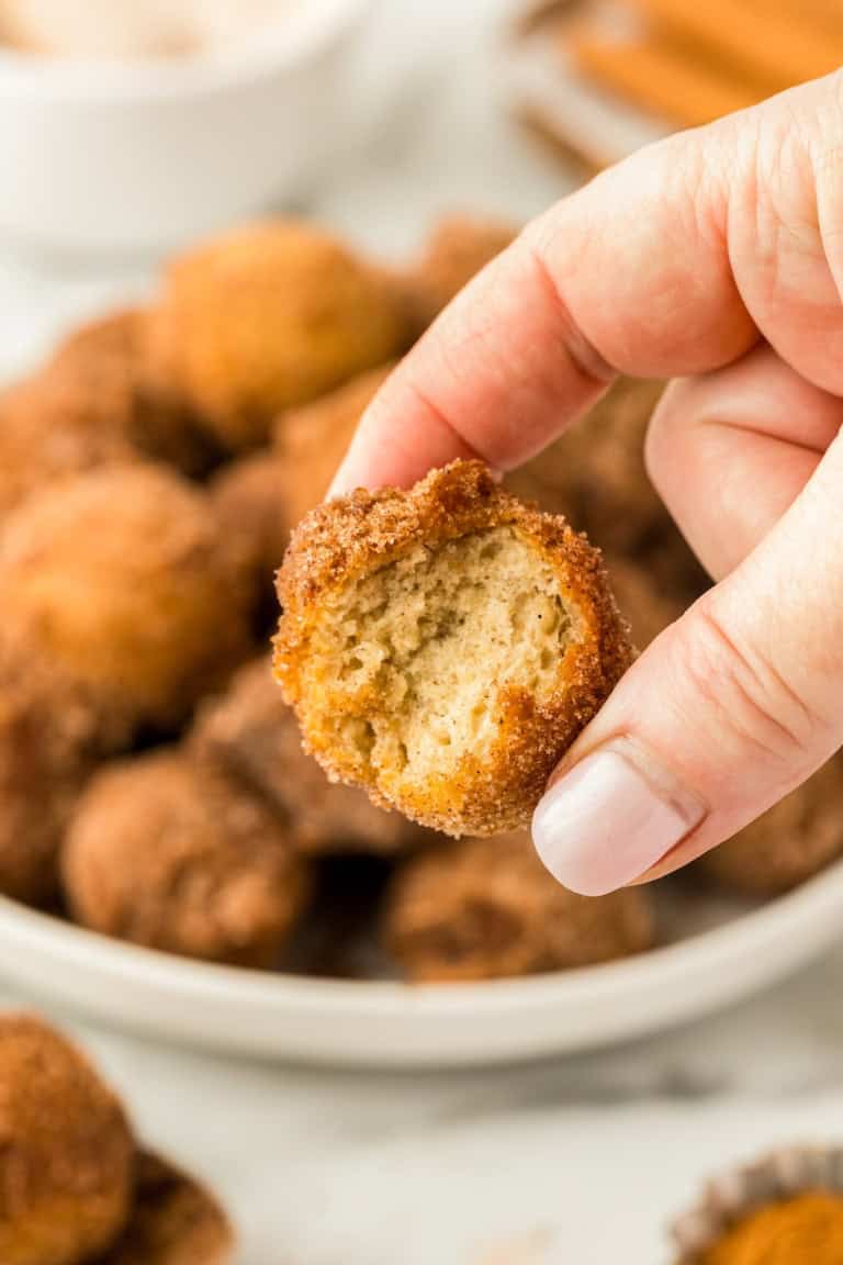 Easy Cinnamon Sugar Donut Holes Recipe