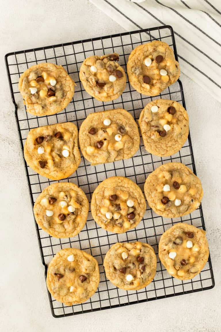 Chewy Chocolate Chip Walnut Cookies