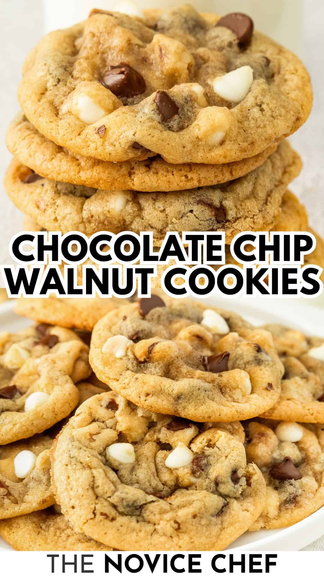 Chewy Chocolate Chip Walnut Cookies