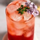 Transfusion Drink – The Novice Chef