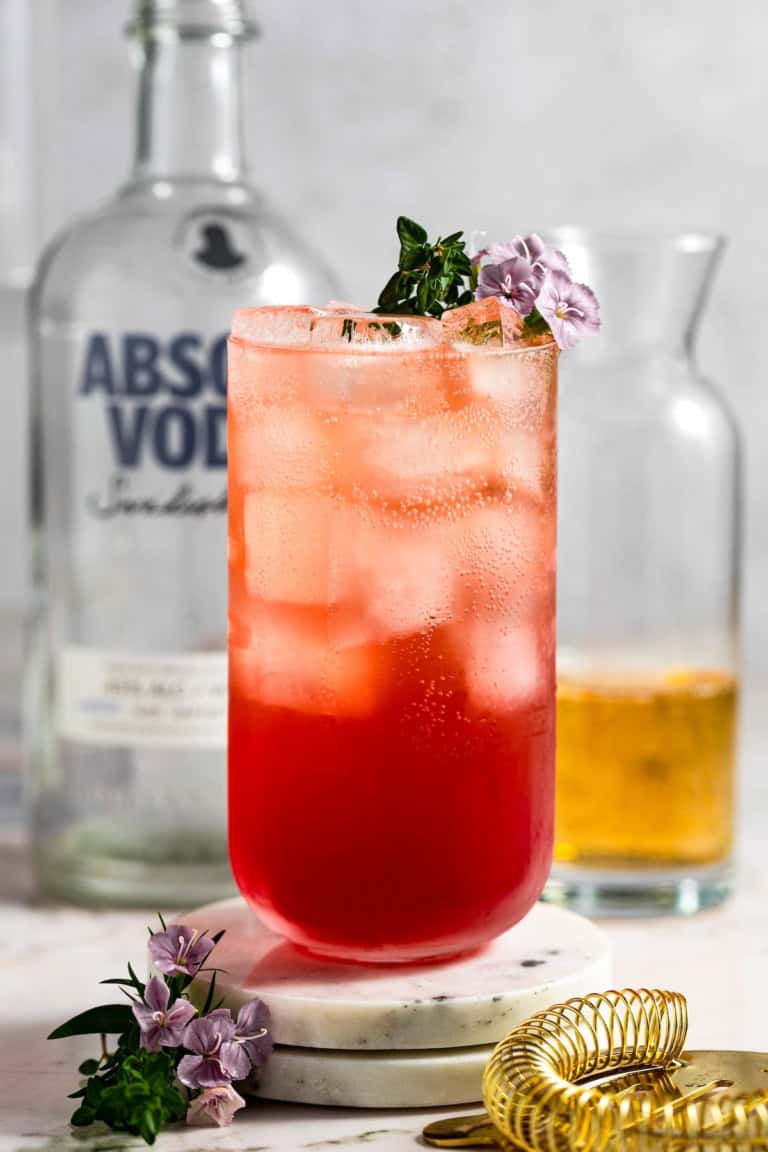 Transfusion Drink – The Novice Chef