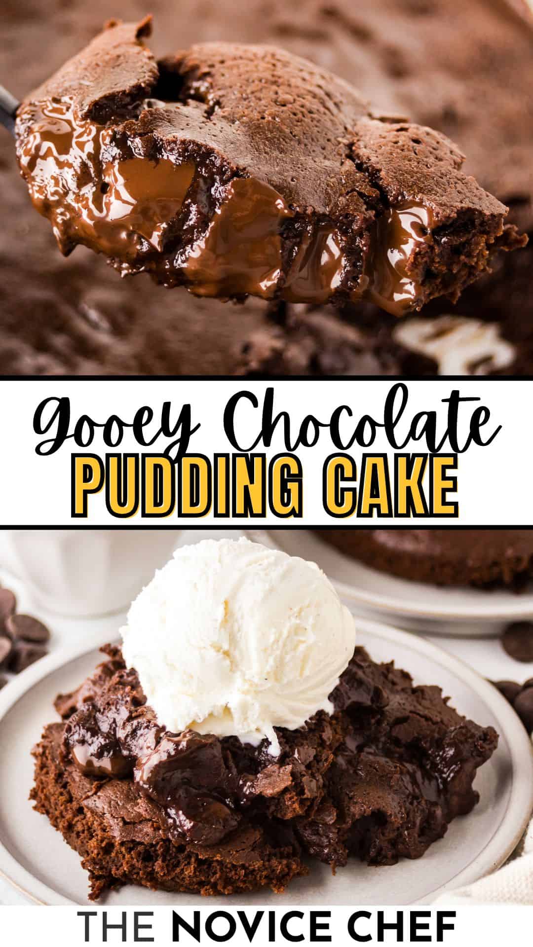 Chocolate Pudding Cake – The Novice Chef